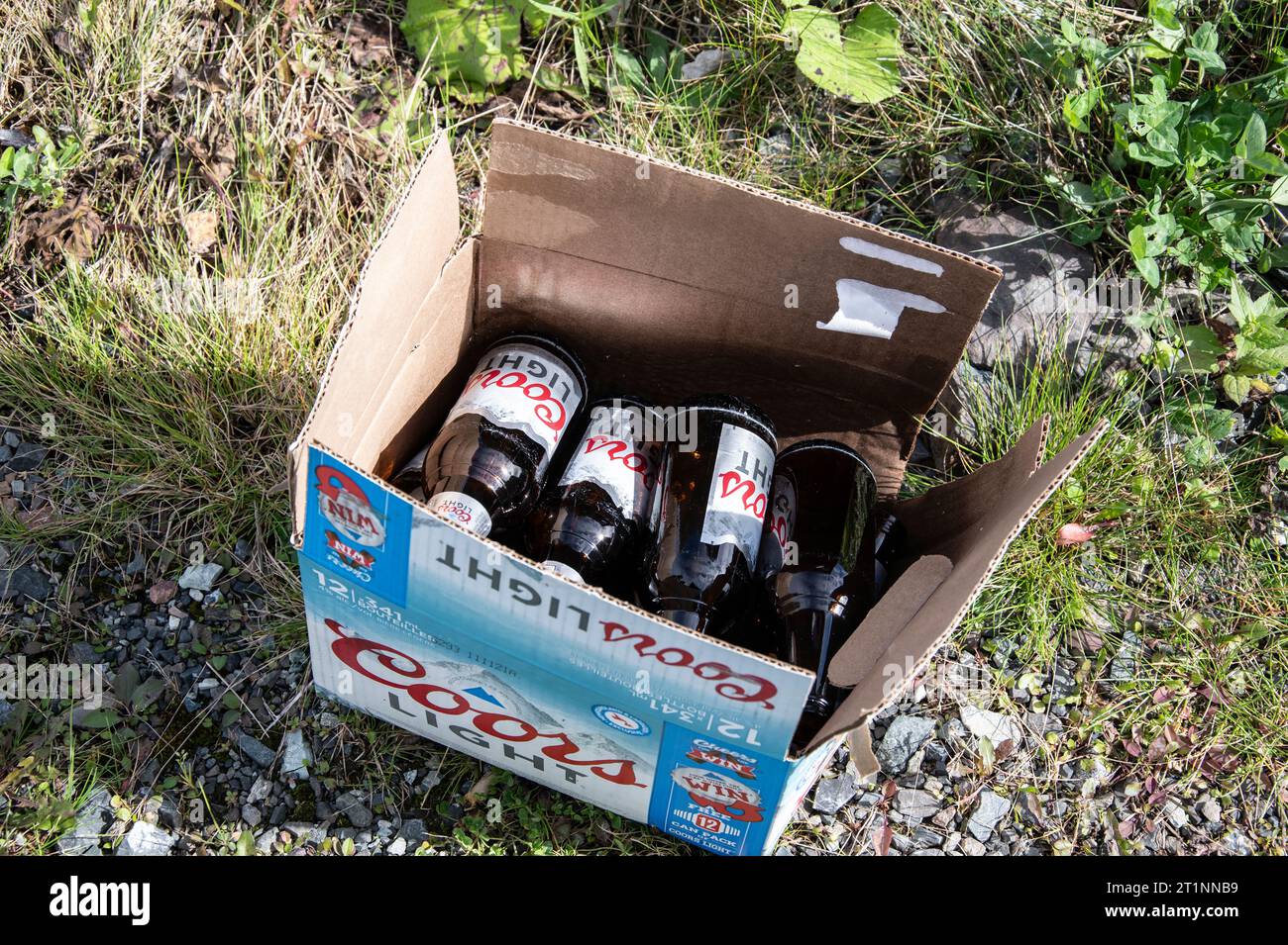 Discarded empty beer bottles in Come By Chance, Newfoundland & Labrador ...