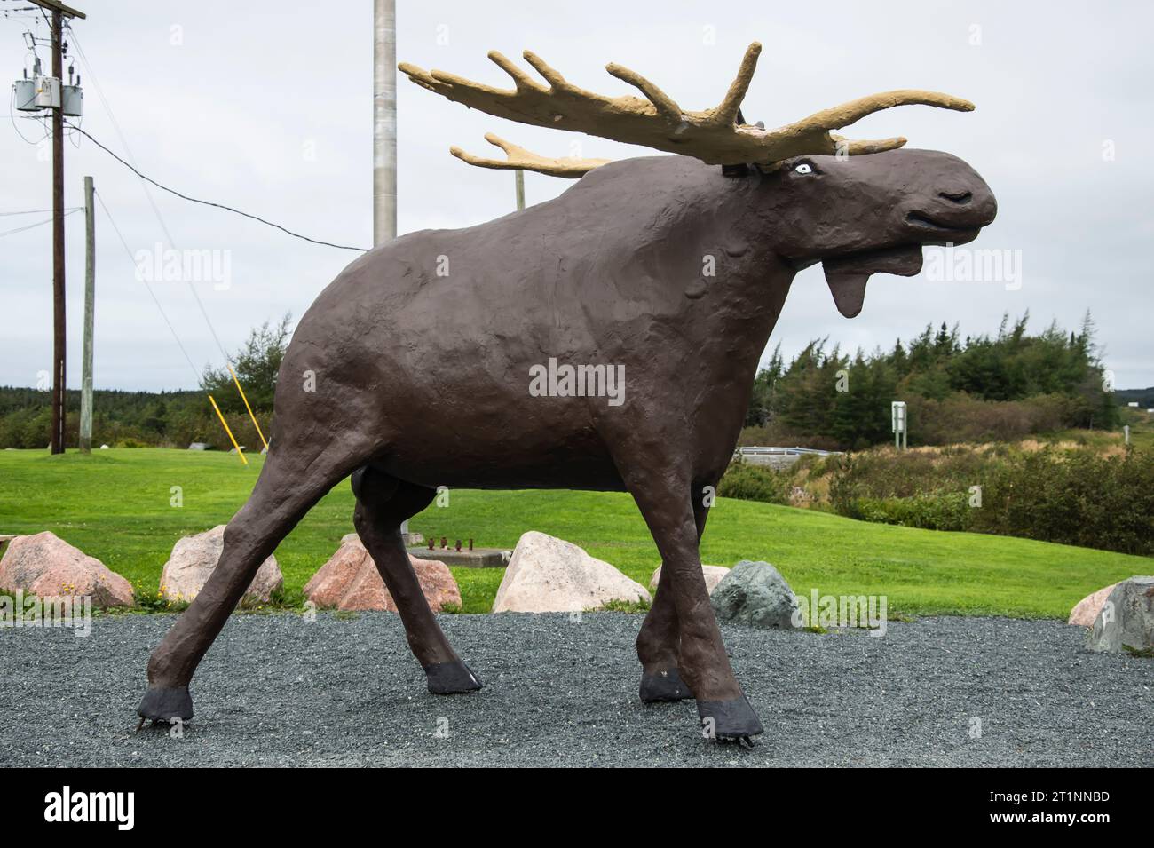 Sculpture of Morris the Moose at Irving Oil Big Stop in Goobies ...