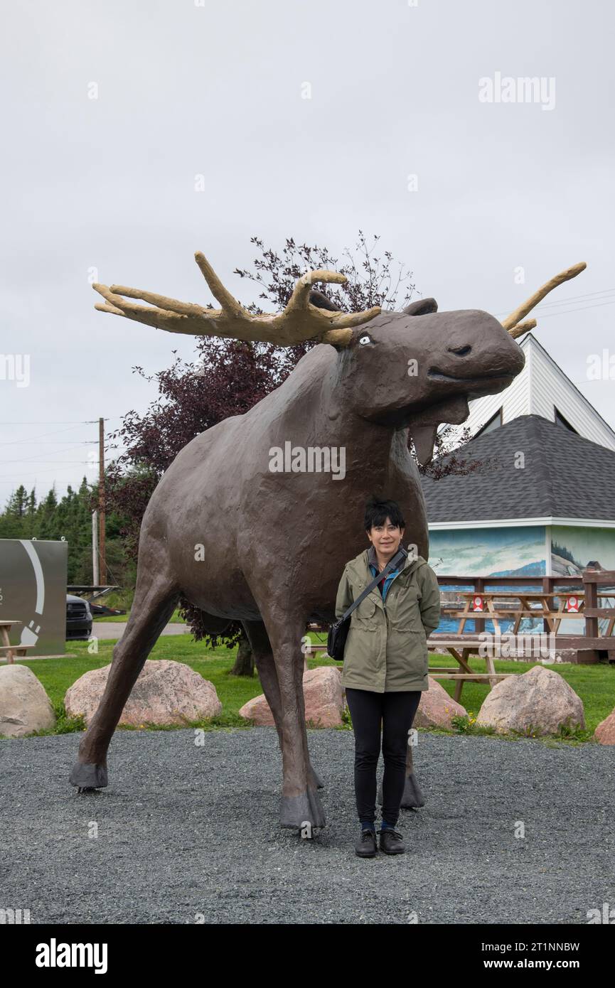 Sculpture of Morris the Moose at Irving Oil Big Stop in Goobies ...