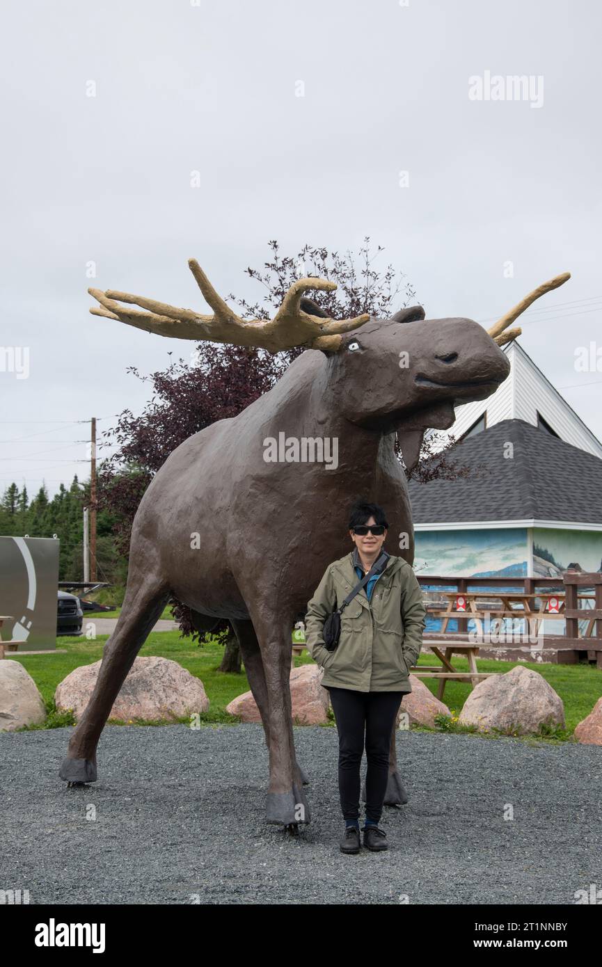 Sculpture of Morris the Moose at Irving Oil Big Stop in Goobies ...