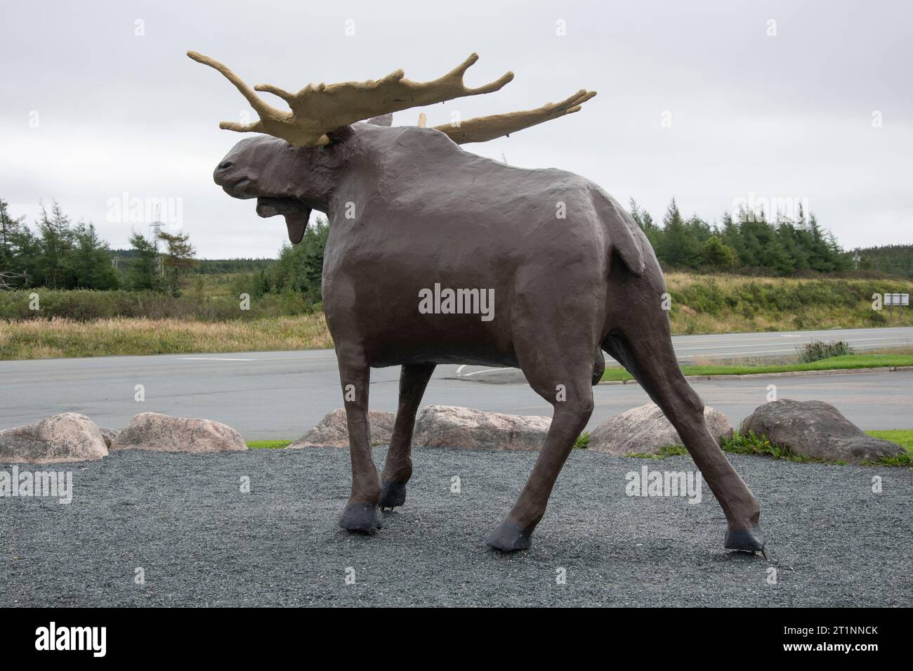 Sculpture of Morris the Moose at Irving Oil Big Stop in Goobies ...