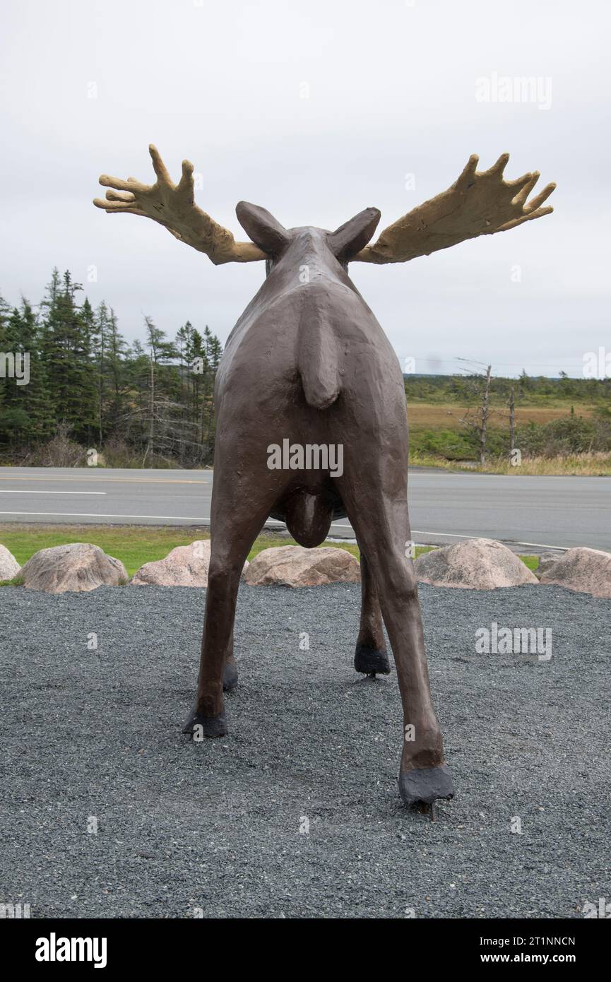 Sculpture of Morris the Moose at Irving Oil Big Stop in Goobies ...