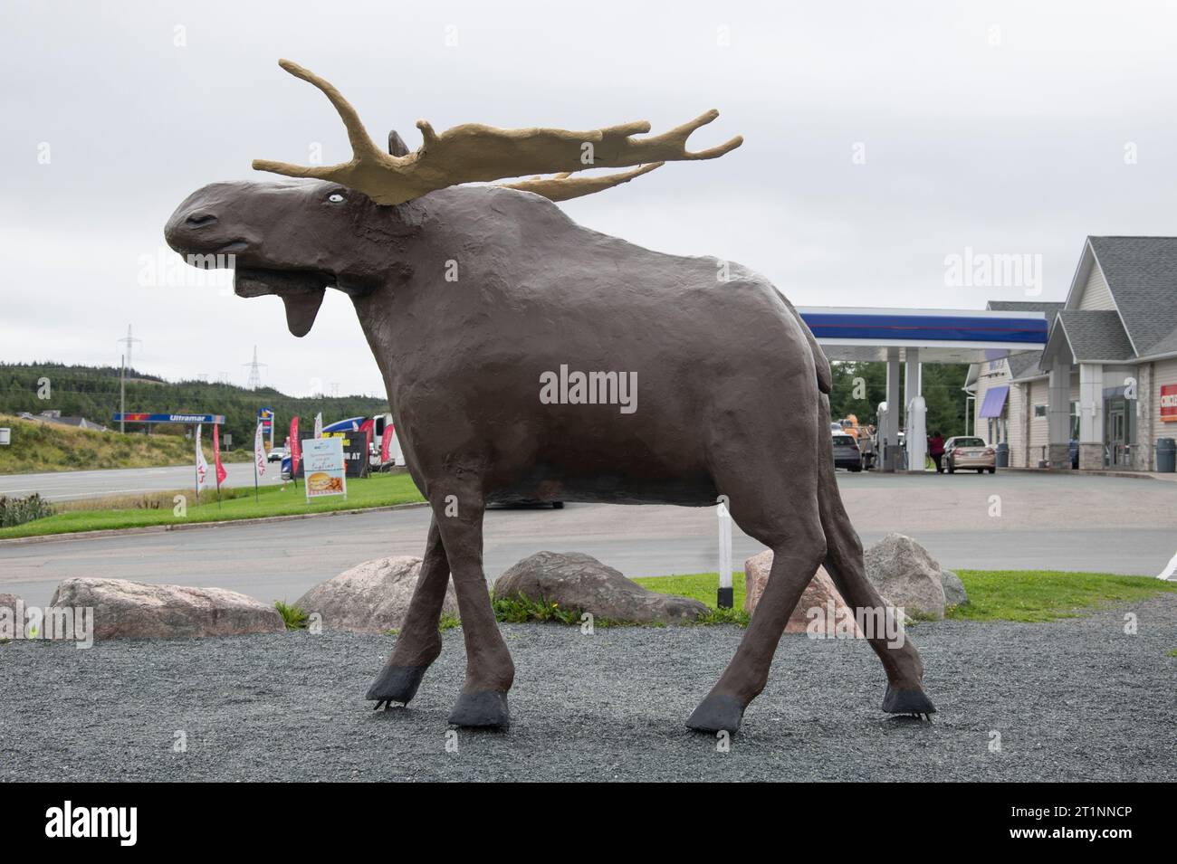 Sculpture of Morris the Moose at Irving Oil Big Stop in Goobies ...