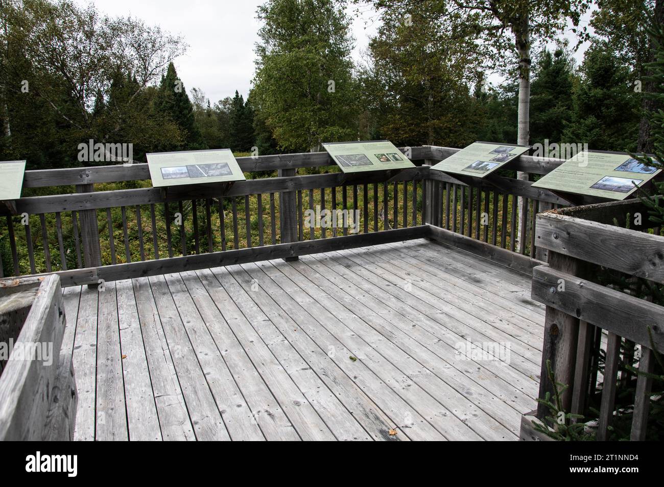 Forest demonstration plot at Terra Nova National Park in Glovertown ...