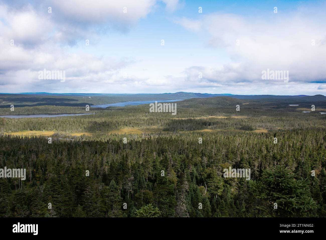 View from Ochre Hill trail in Terra Nova National Park, Glovertown ...