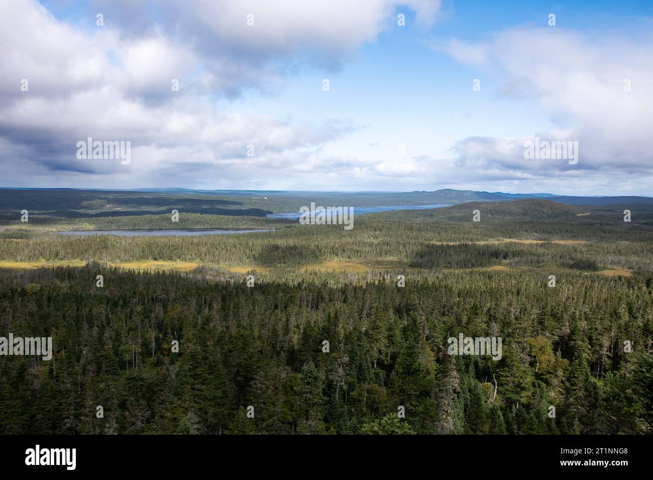 Glovertown hi-res stock photography and images - Alamy