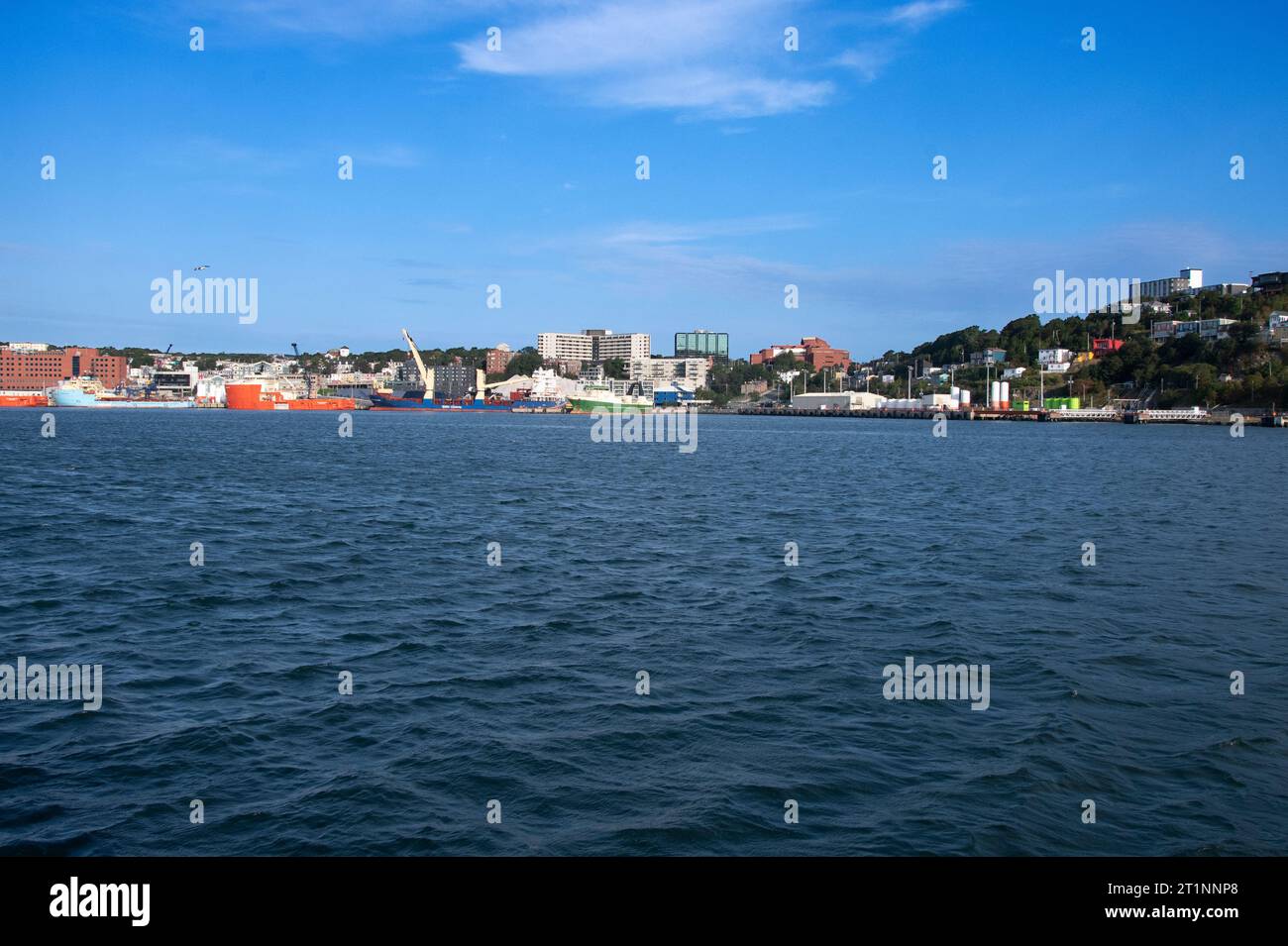 Harbor in St. John's, Newfoundland & Labrador, Canada Stock Photo - Alamy