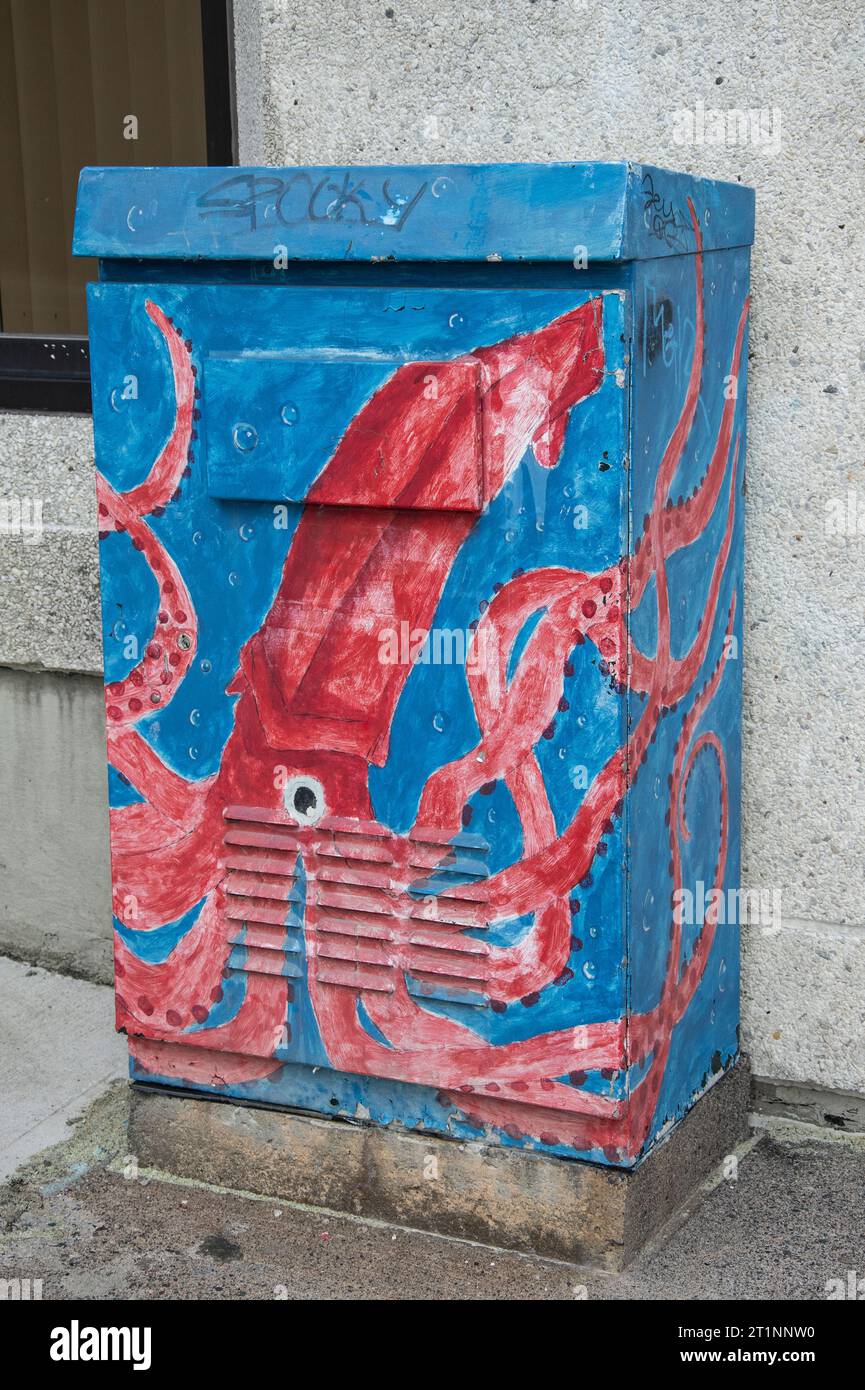 Pink squid hi-res stock photography and images - Alamy