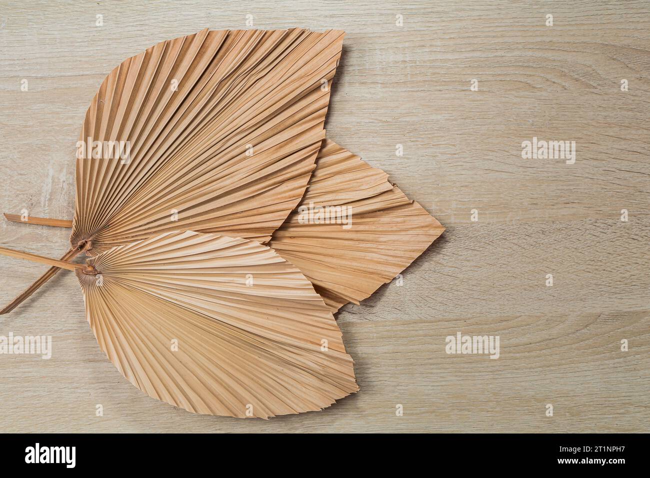Dried palm leaf on wooden background with copy space Stock Photo - Alamy
