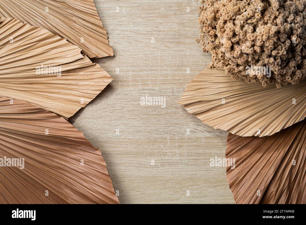 Dried palm leaf on wooden background with copy space Stock Photo - Alamy