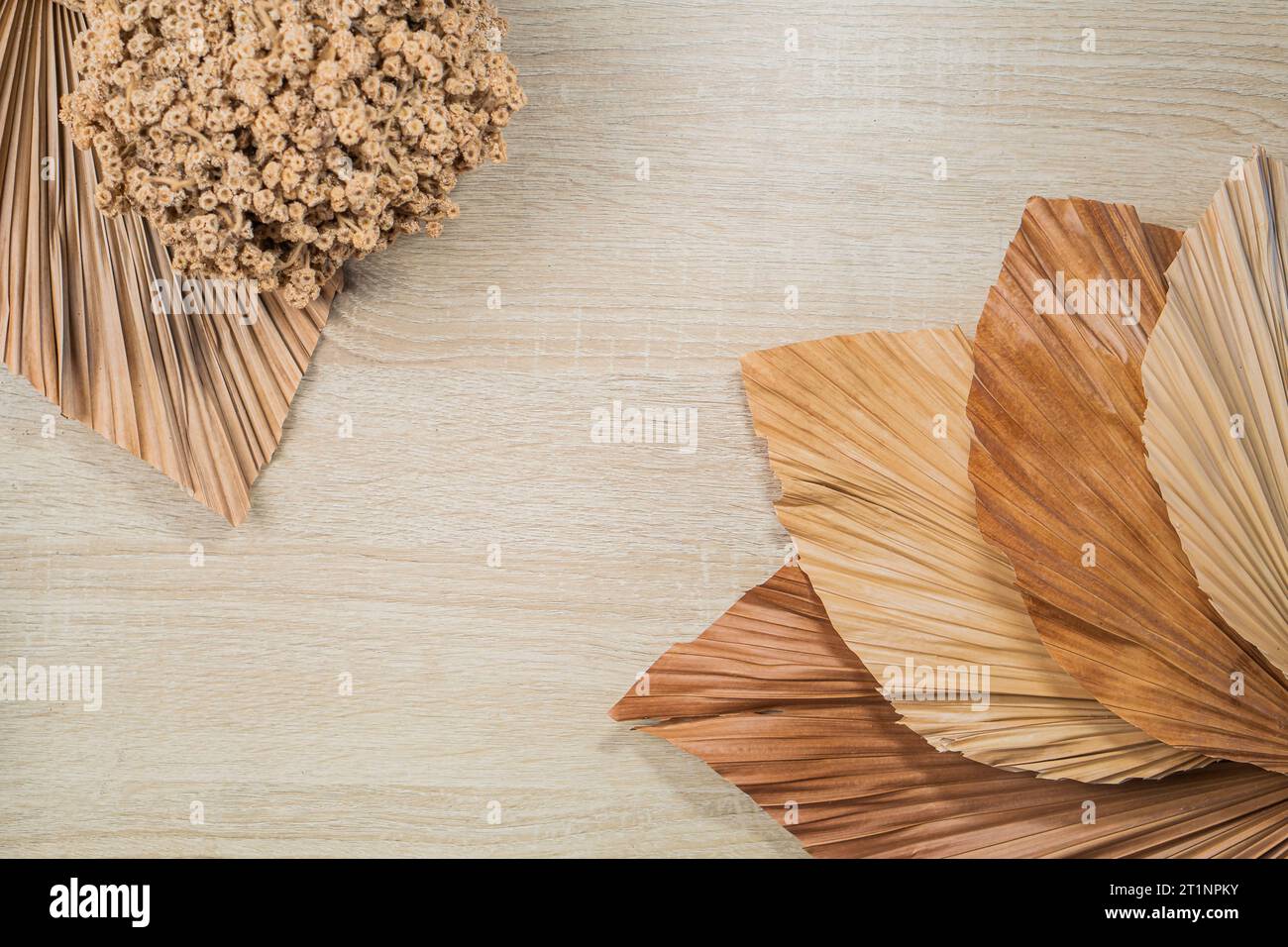 Dried palm leaf on wooden background with copy space Stock Photo - Alamy