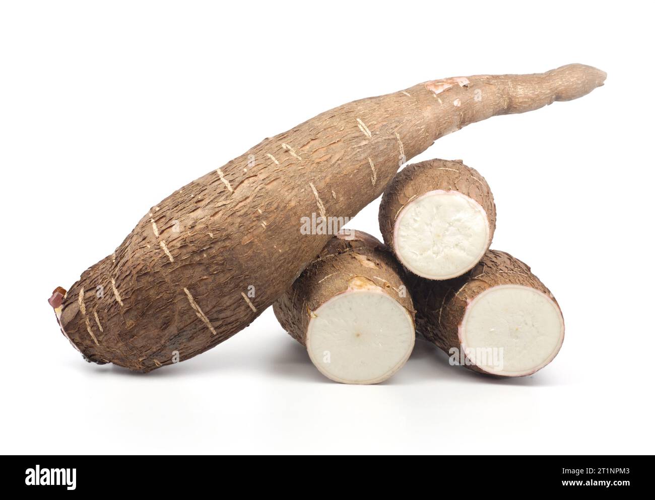 Cassava root isolated on white background Stock Photo - Alamy