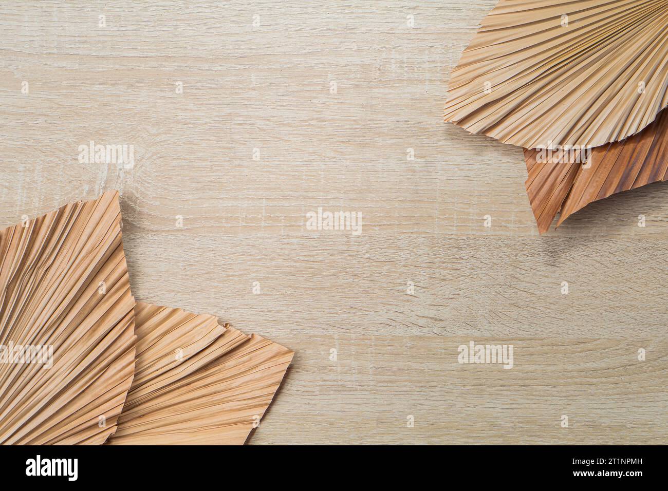 Dried palm leaf on wooden background with copy space Stock Photo - Alamy