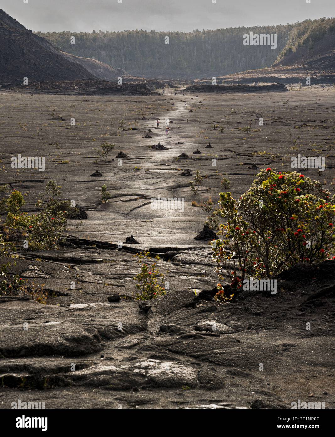 Sunlight radiates hi-res stock photography and images - Alamy