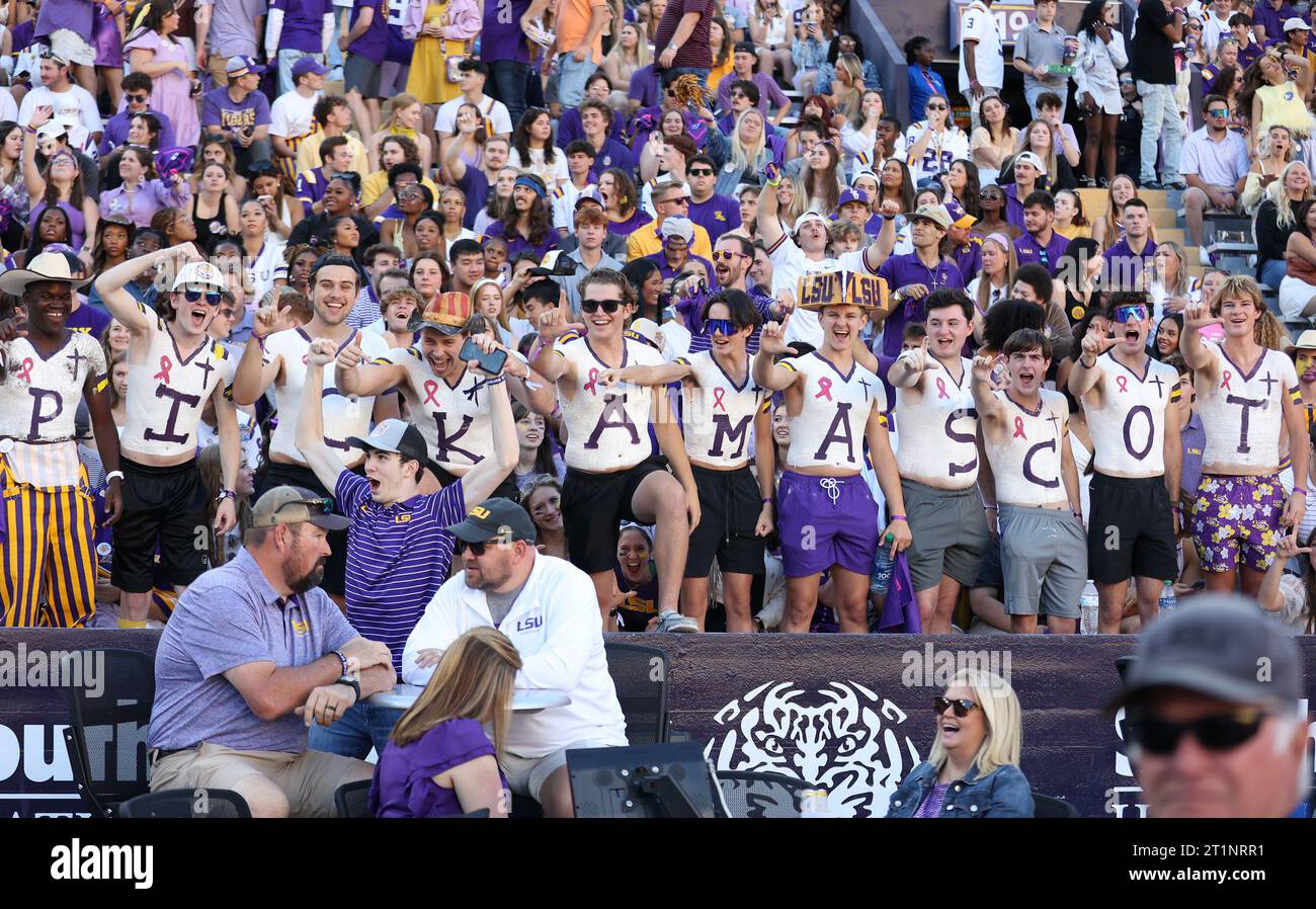 Baton Rouge, USA. 14th Oct, 2023. A group of LSU Tigers fans display ...