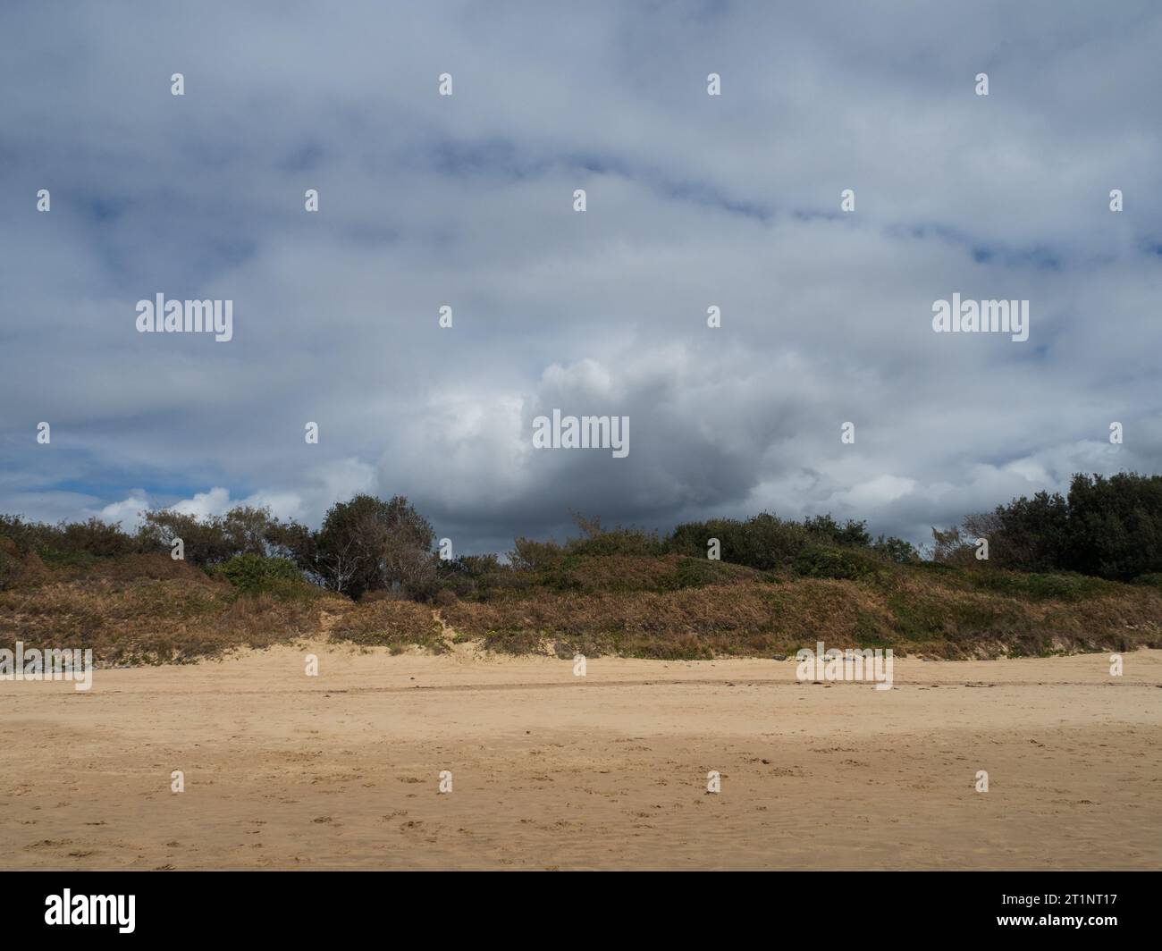 Storm clouds rolling across above the sandy beach, subtropical ...