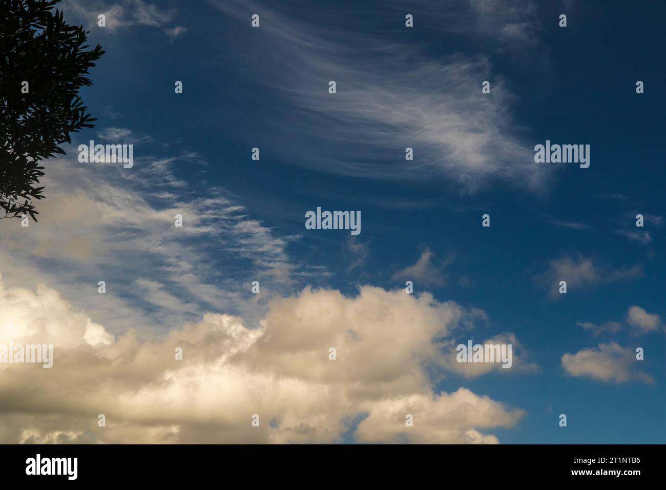 Fluffy clouds moving through the sky driven by the wind Stock Photo - Alamy