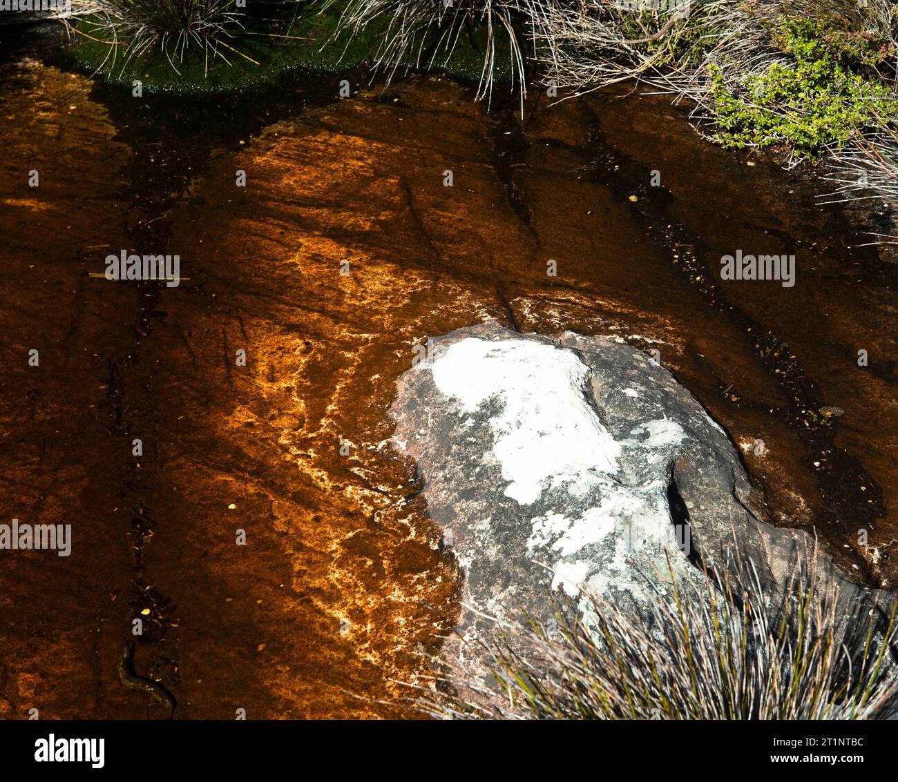 Multi-colored puddle flowing around the stone and surrounded by moss ...