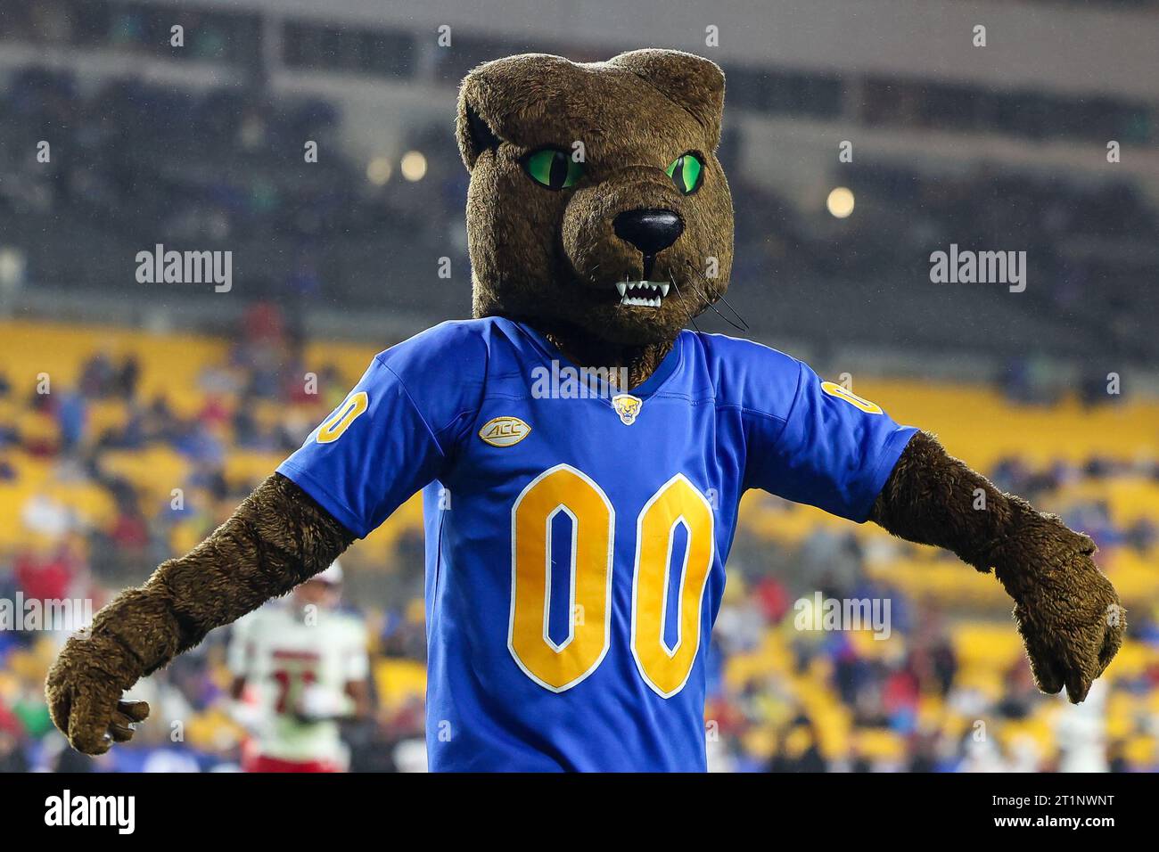 Acrisure stadium hi-res stock photography and images - Alamy