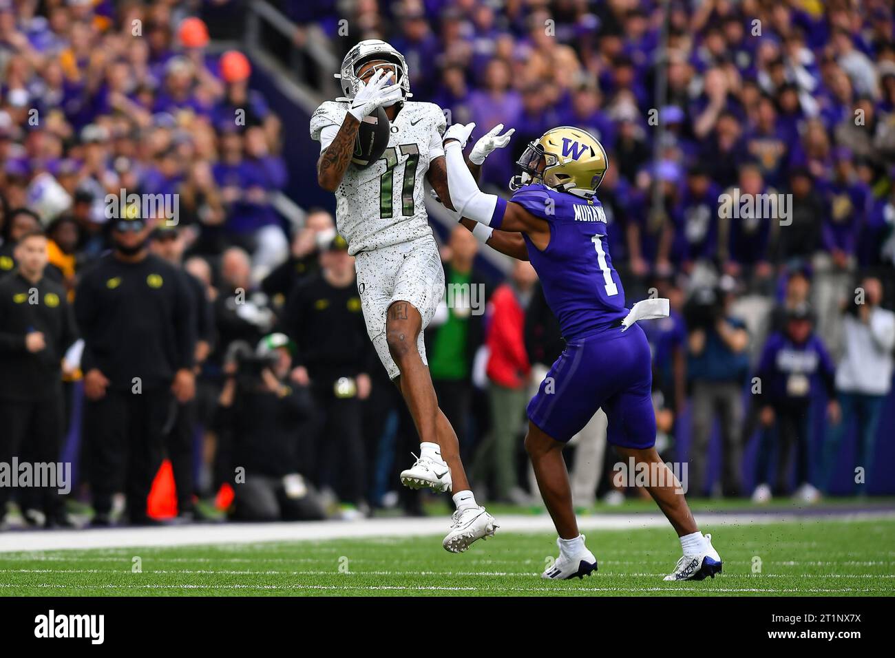 Seattle, United States. 14th Oct, 2023. October 14, 2023: Oregon Ducks ...