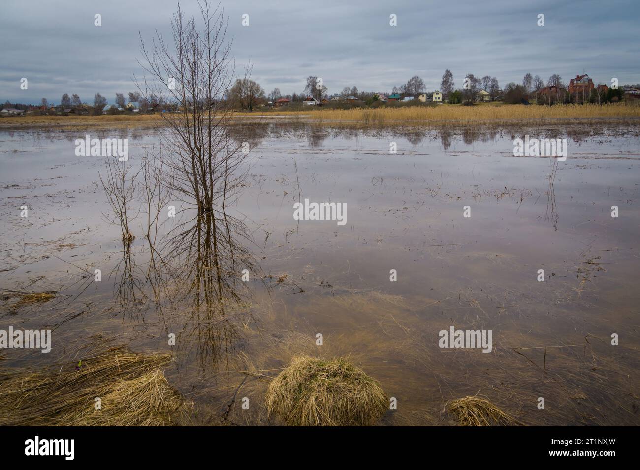 Early spring flood of the river, rural landscape Stock Photo - Alamy