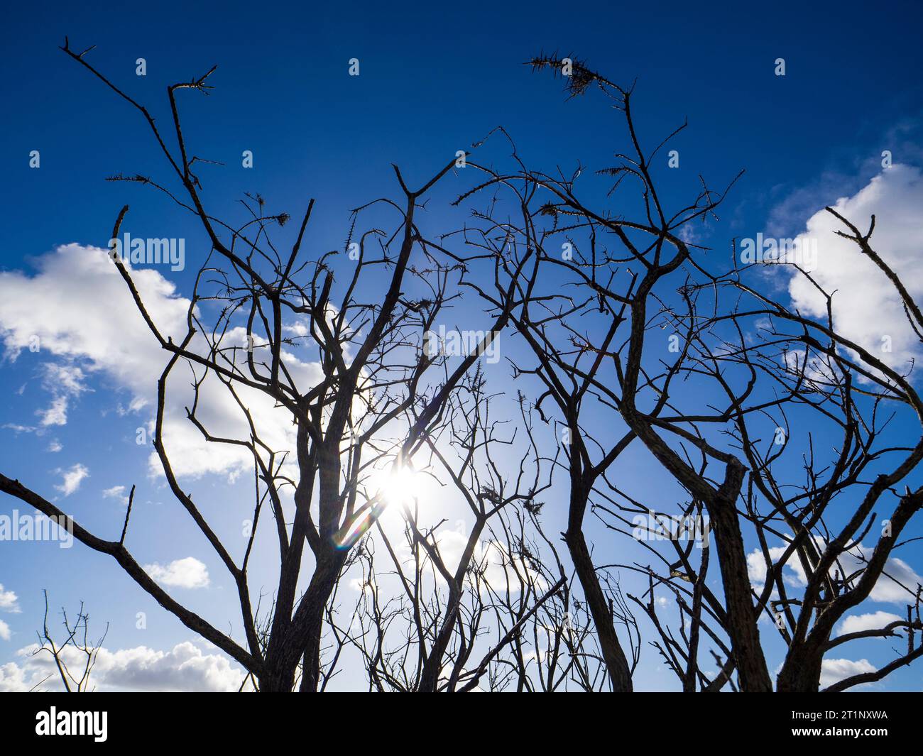 Heathland fire uk hi-res stock photography and images - Alamy