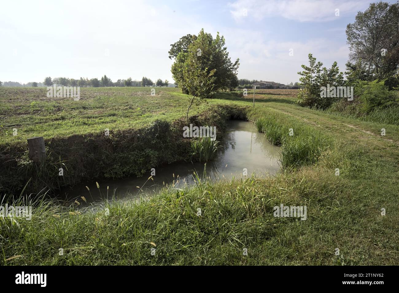 Path between trenches with water and a row of trees next to fields in ...