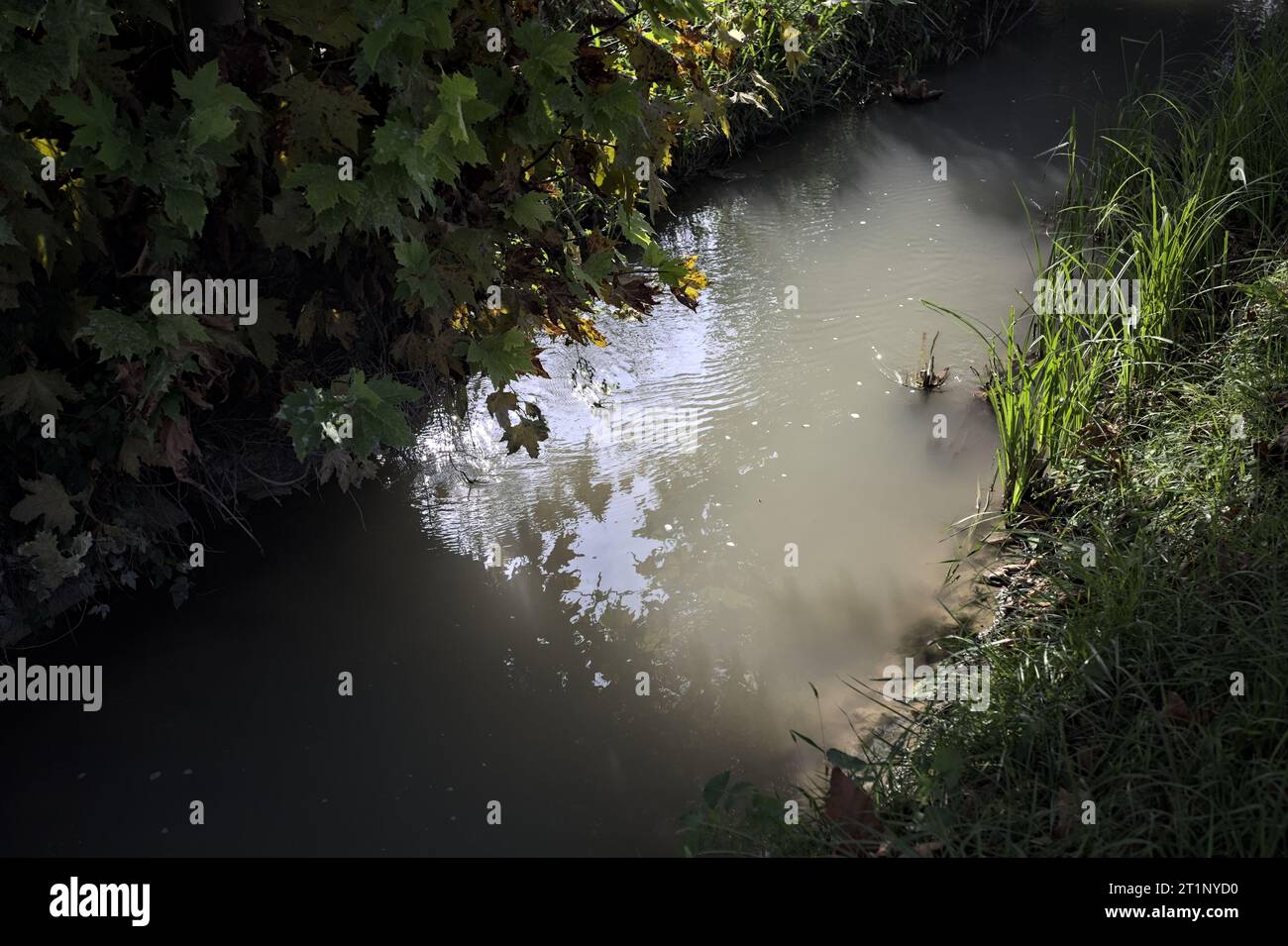 Trench with water next to a tree and its reflection casted in it Stock ...