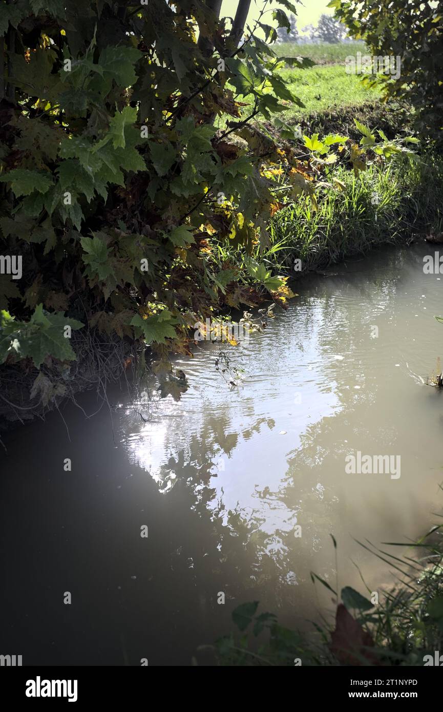 Trench with water next to a tree and its reflection casted in it Stock ...