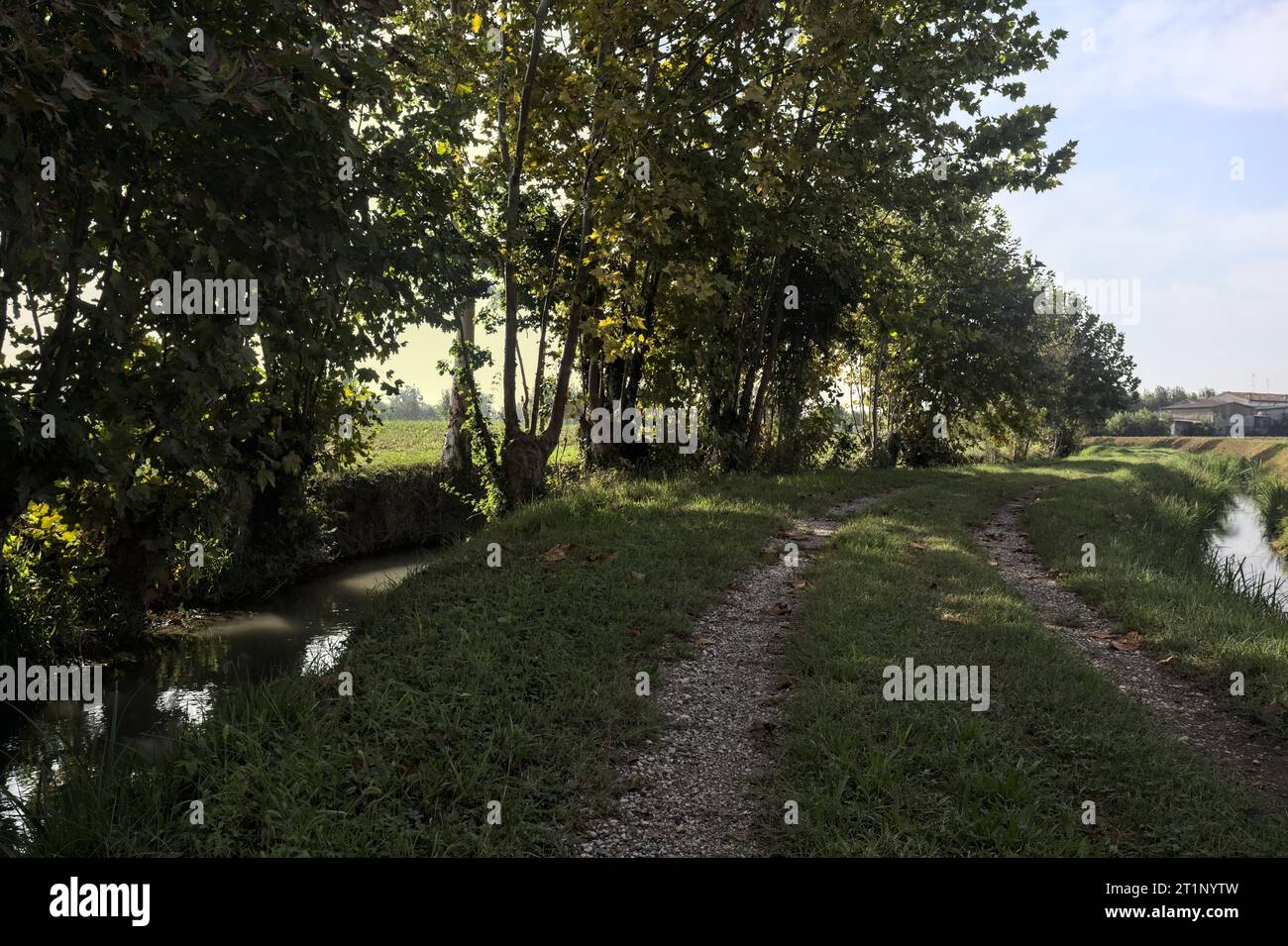 Path between trenches with water and a row of trees next to fields in ...