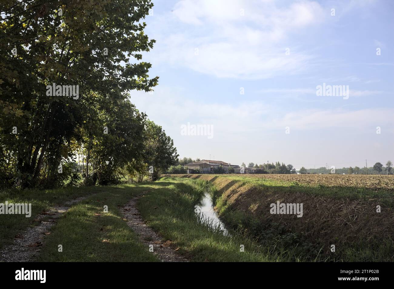 Path between trenches with water and a row of trees next to fields in ...