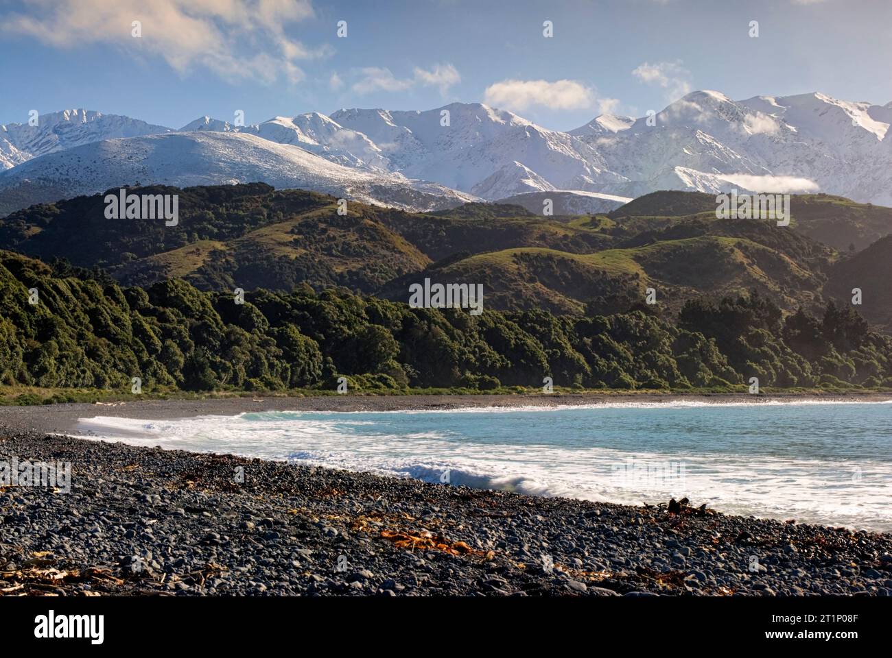 Mangamaunu beach near Kaikoura with snow covered mountains in the ...