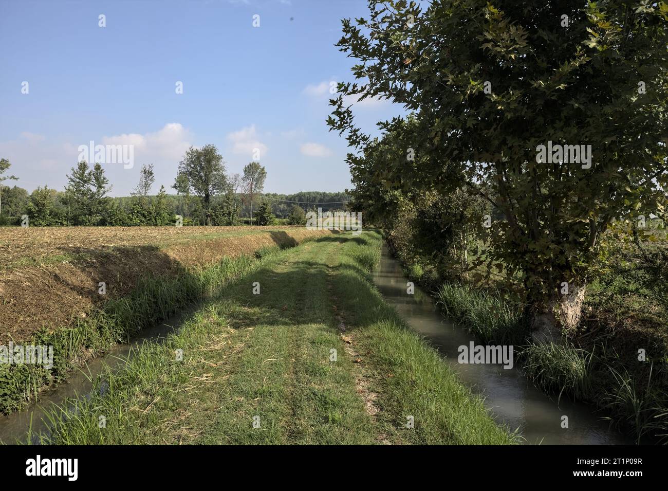 Path between trenches with water and a row of trees next to fields in ...