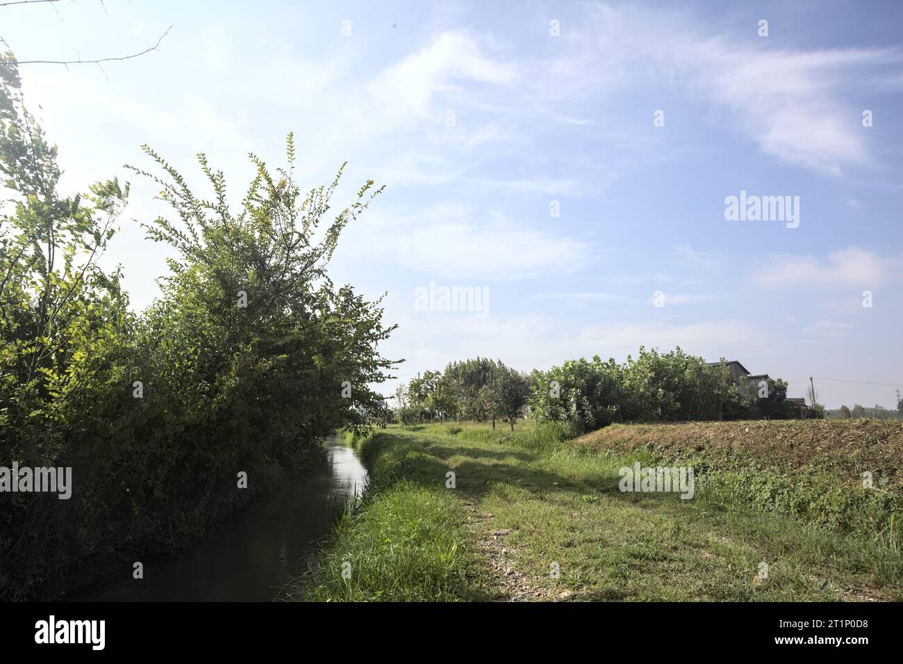 Path between trenches with water and a row of trees next to fields in ...