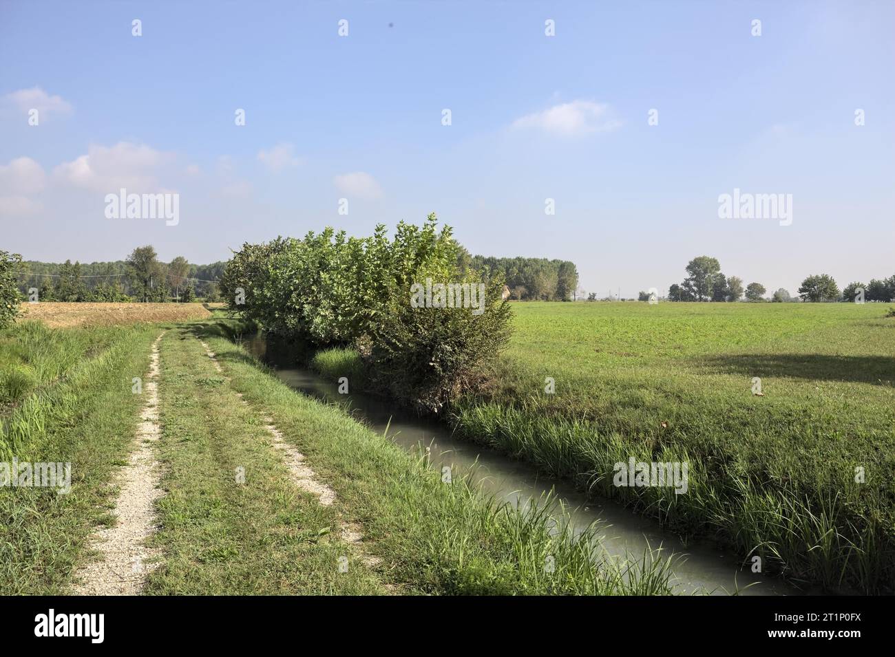 Path between trenches with water and a row of trees next to fields in ...