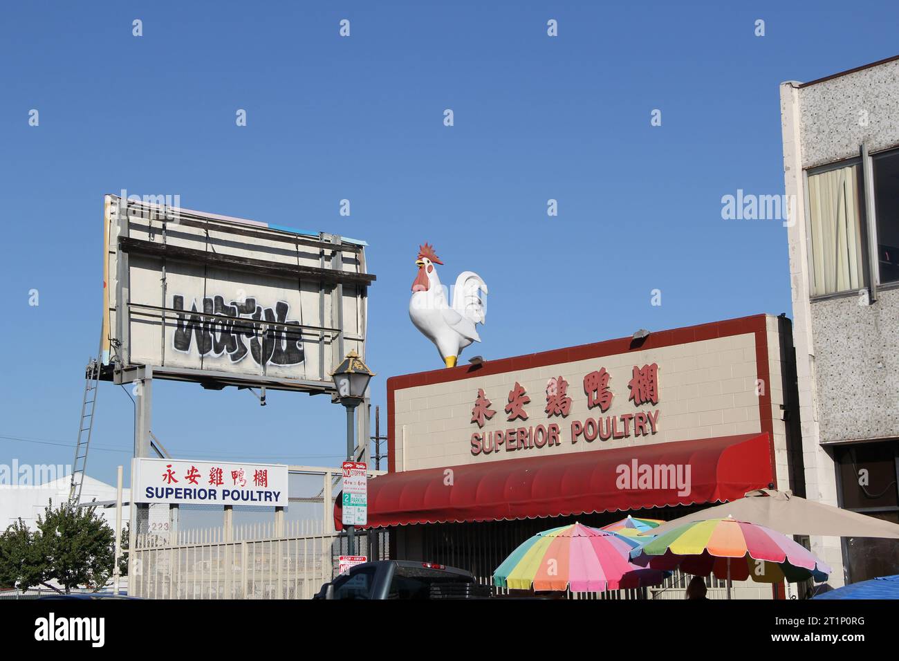 Los Angeles Chinatown Poultry Market Street Scene Gian. Chicken Icon On ...