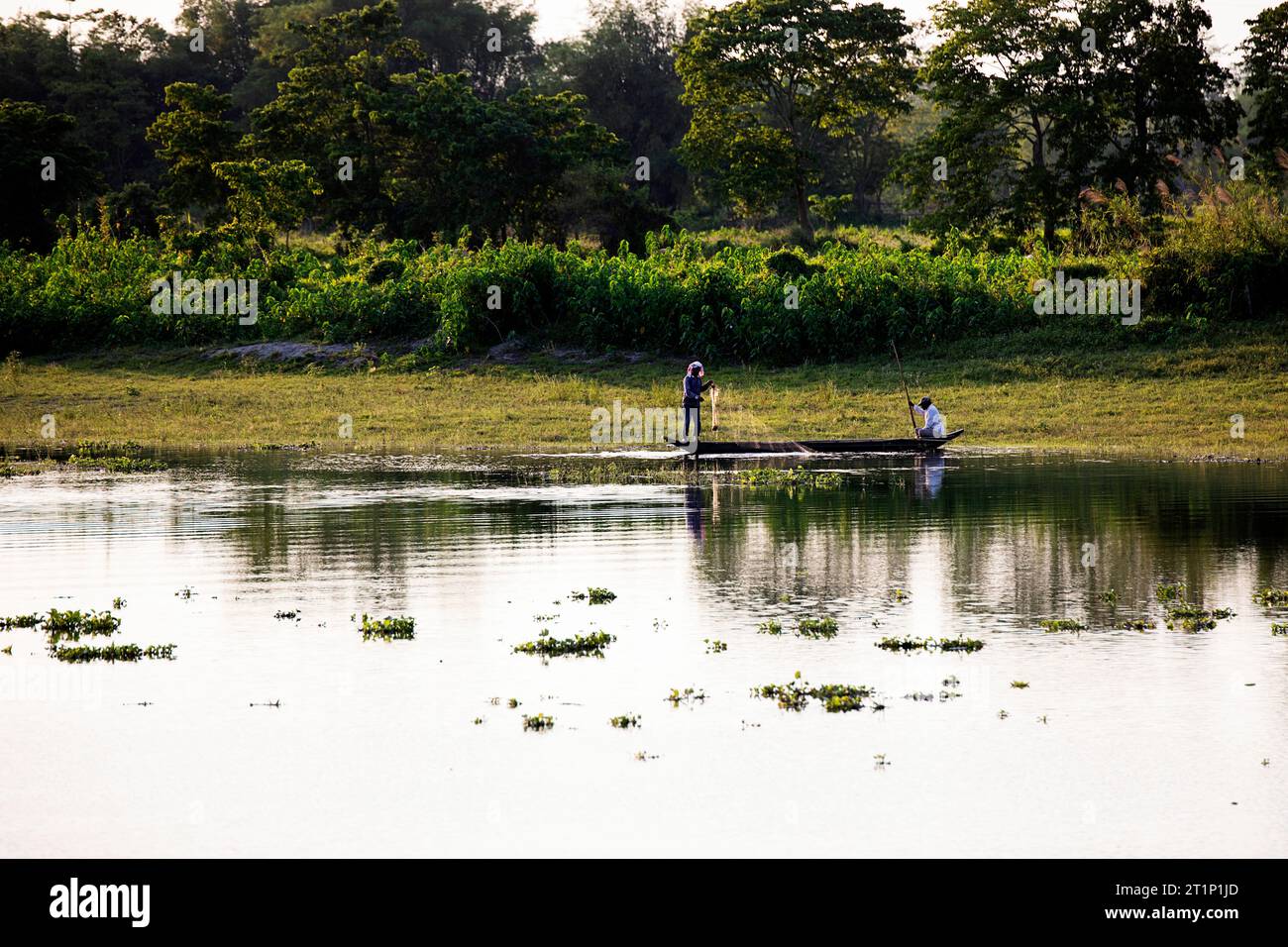 Local fishermen setting out a net in a lagoon at sunset on Majuli ...