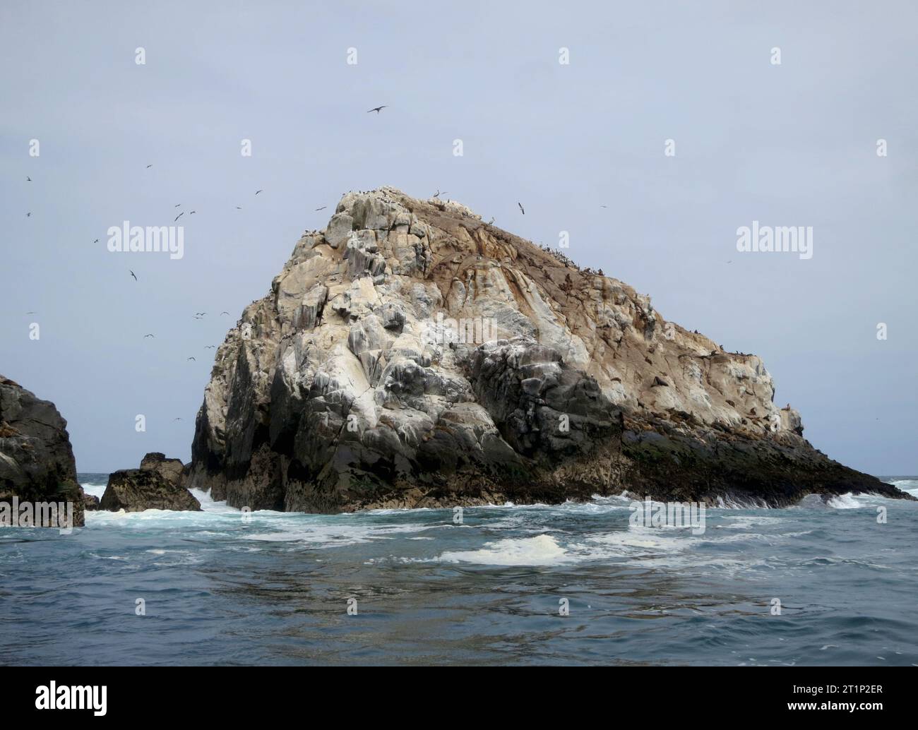 Seabid colony on a rocky island for the pacific coast of Lima, Peru ...