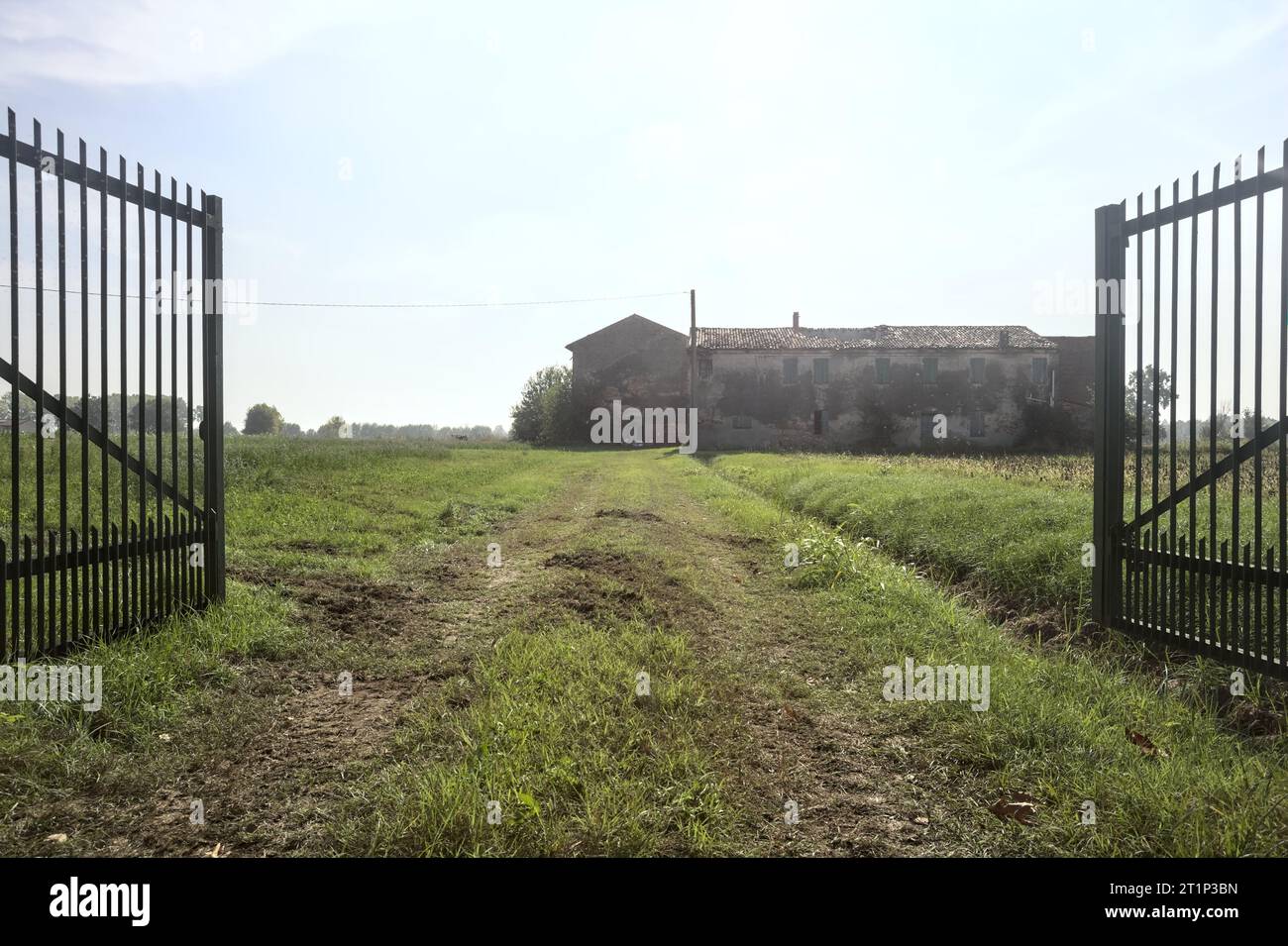 Abandoned grassy farm gate hi-res stock photography and images - Alamy