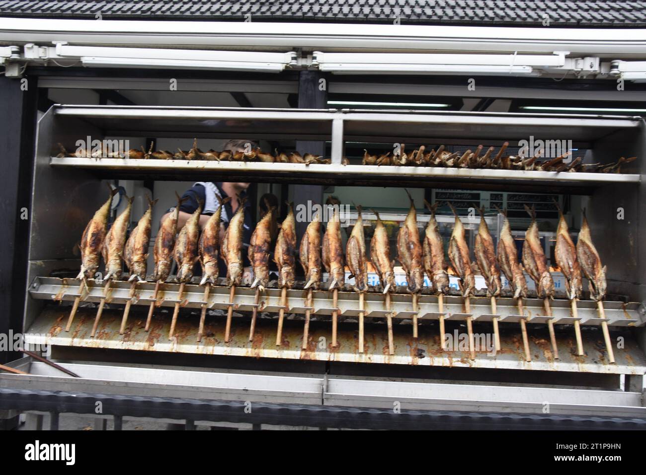 Alamy fisch hi-res stock photography and images - Alamy