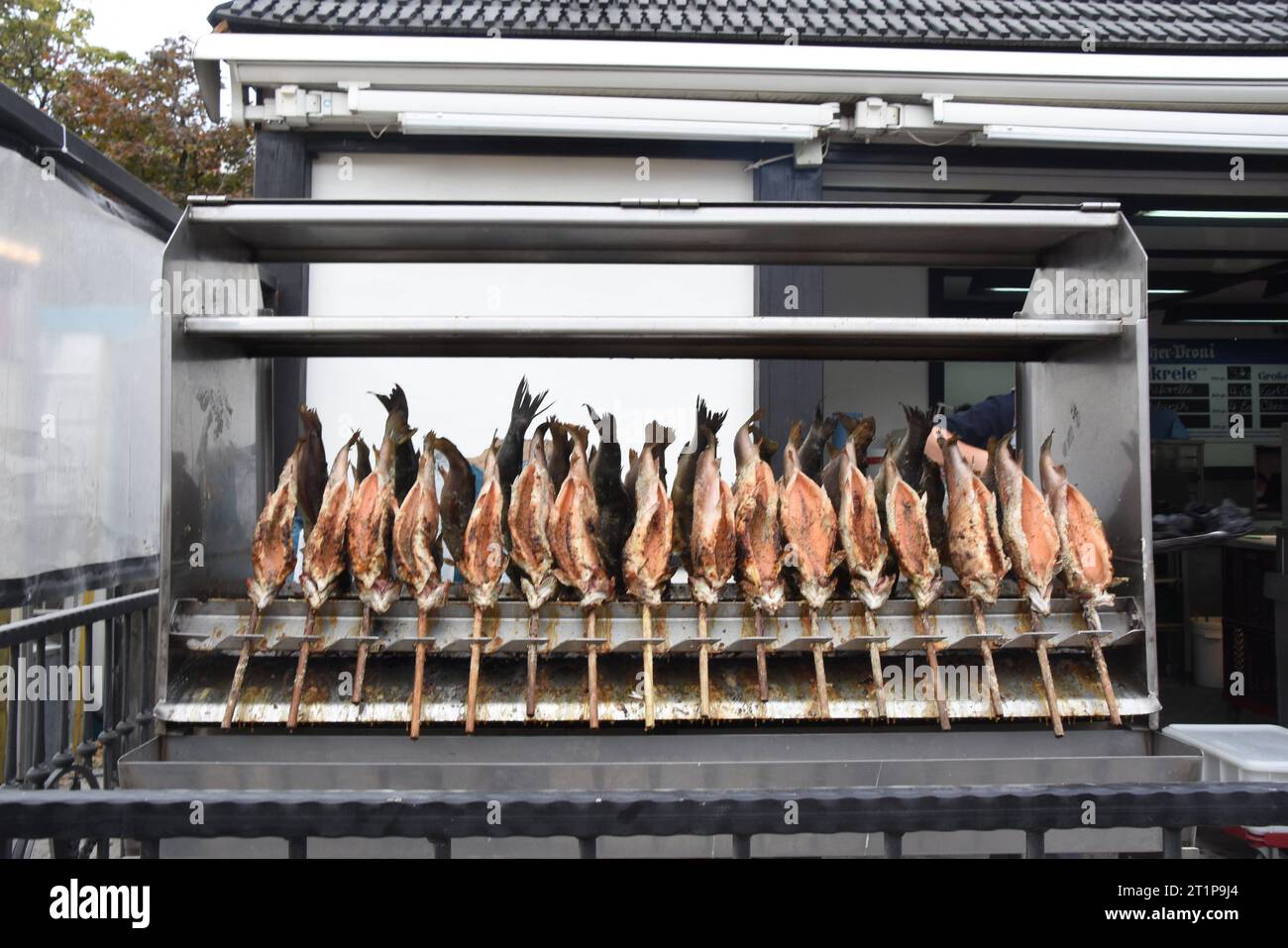 Alamy fisch hi-res stock photography and images - Alamy