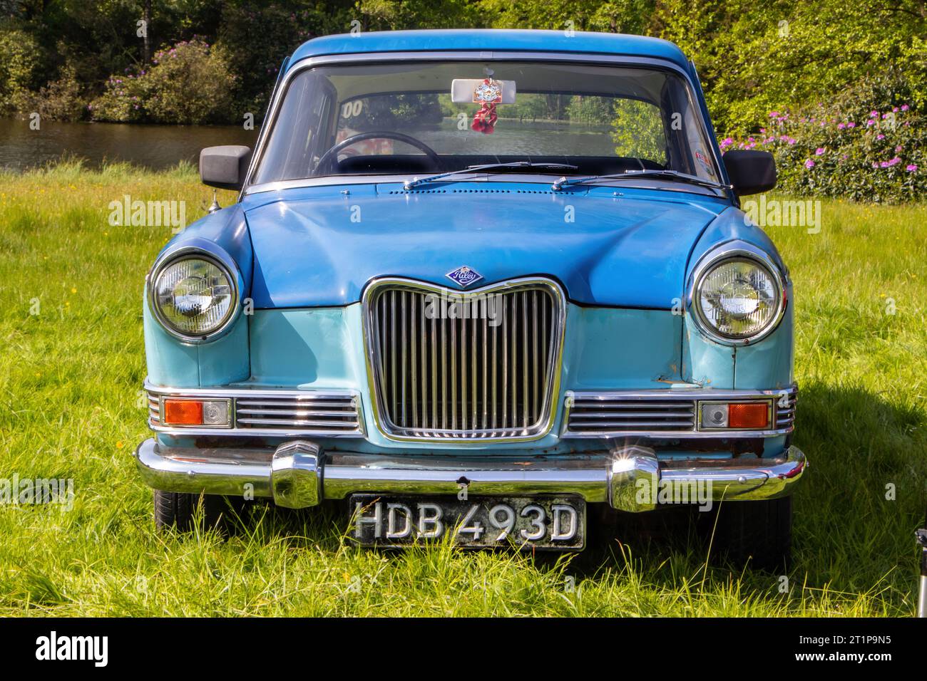 two tone blue classic vintage 1960s BMC Farina Riley 4/72 car Stock ...