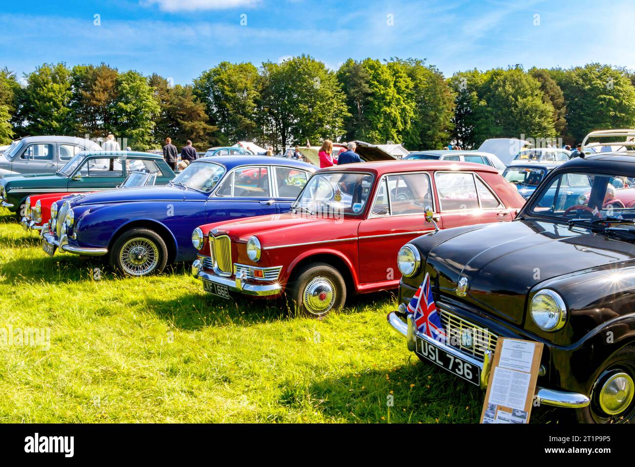 Line vintage cars including hi-res stock photography and images - Alamy