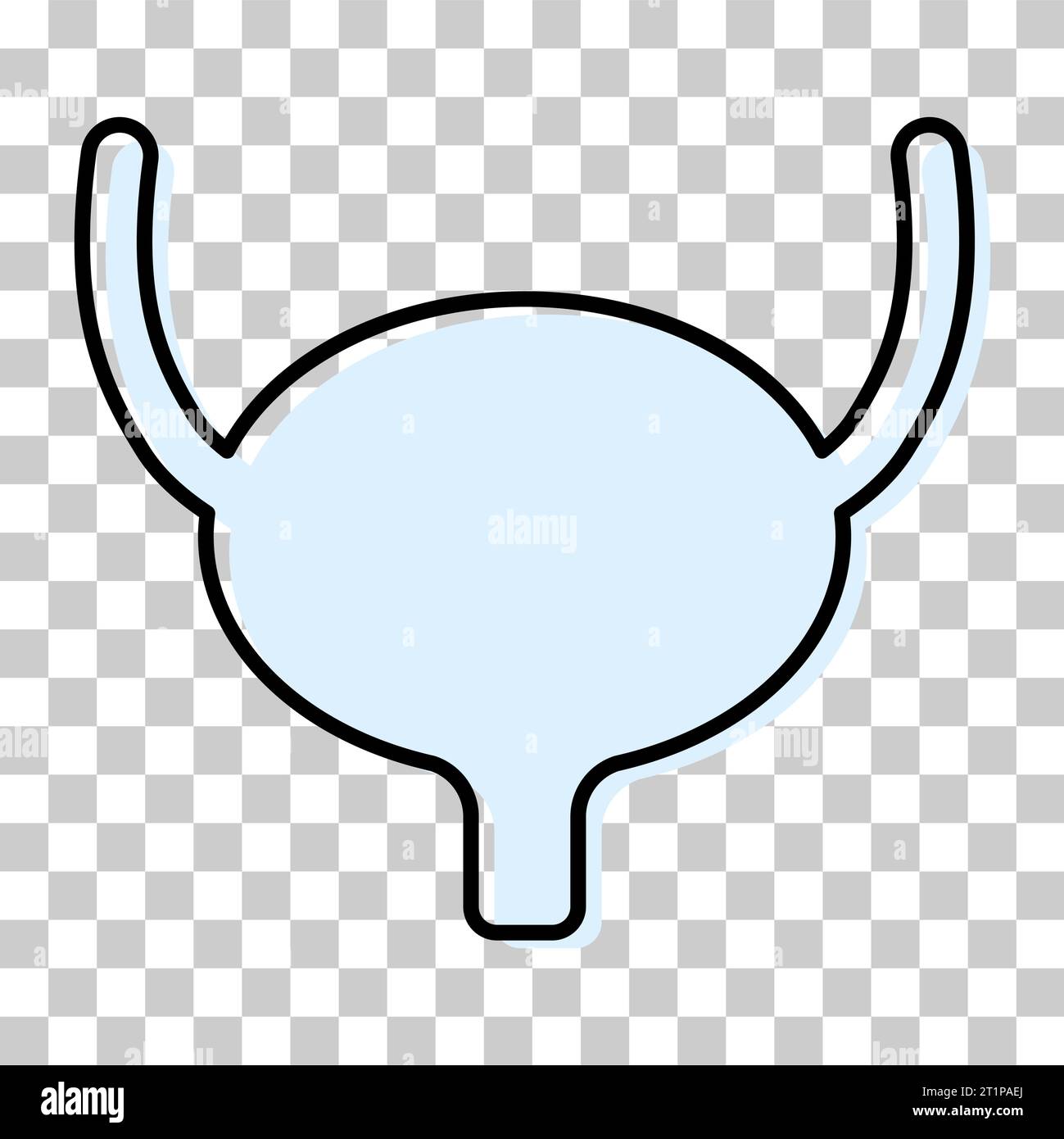 Urology health human icon, anatomy medical body bladder sign, biology ...