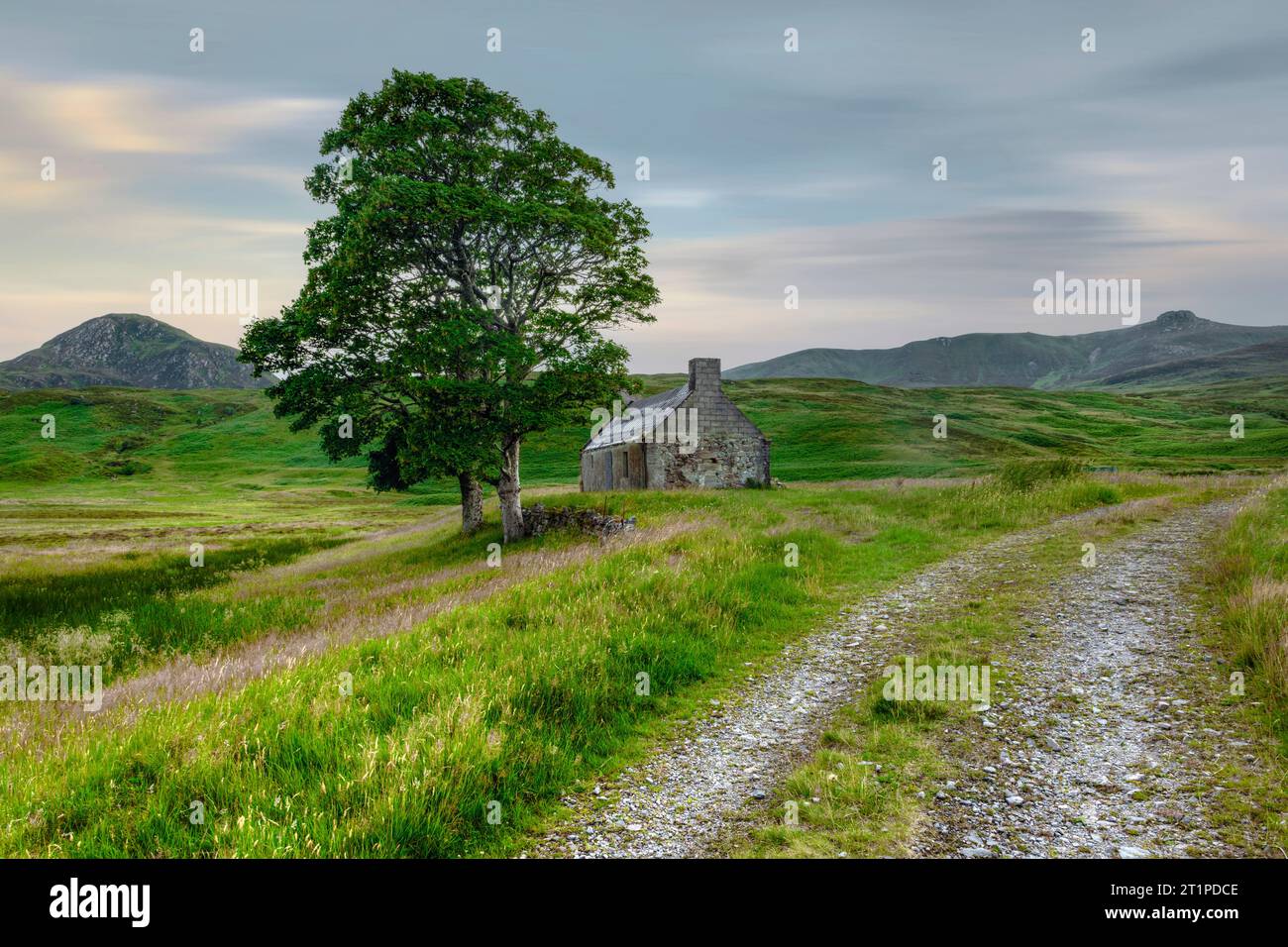Loch Loyal is a freshwater lake located in the Assynt region of ...
