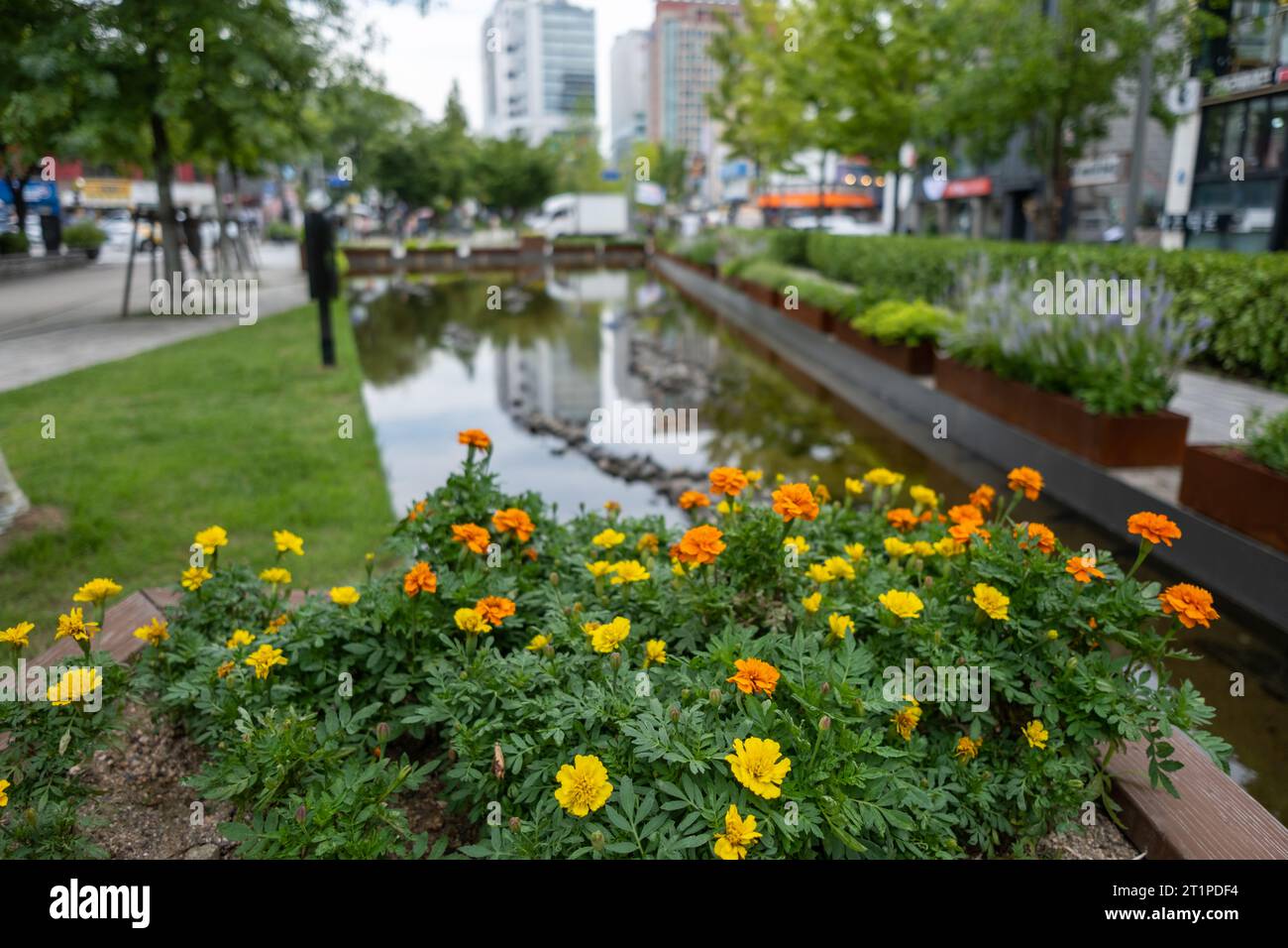 Hongik university or hongdae hi-res stock photography and images - Alamy