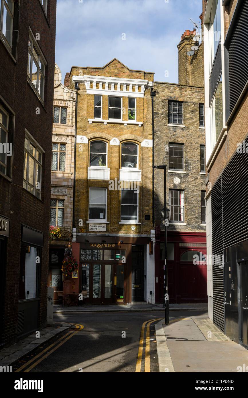 Fox and knot hi-res stock photography and images - Alamy