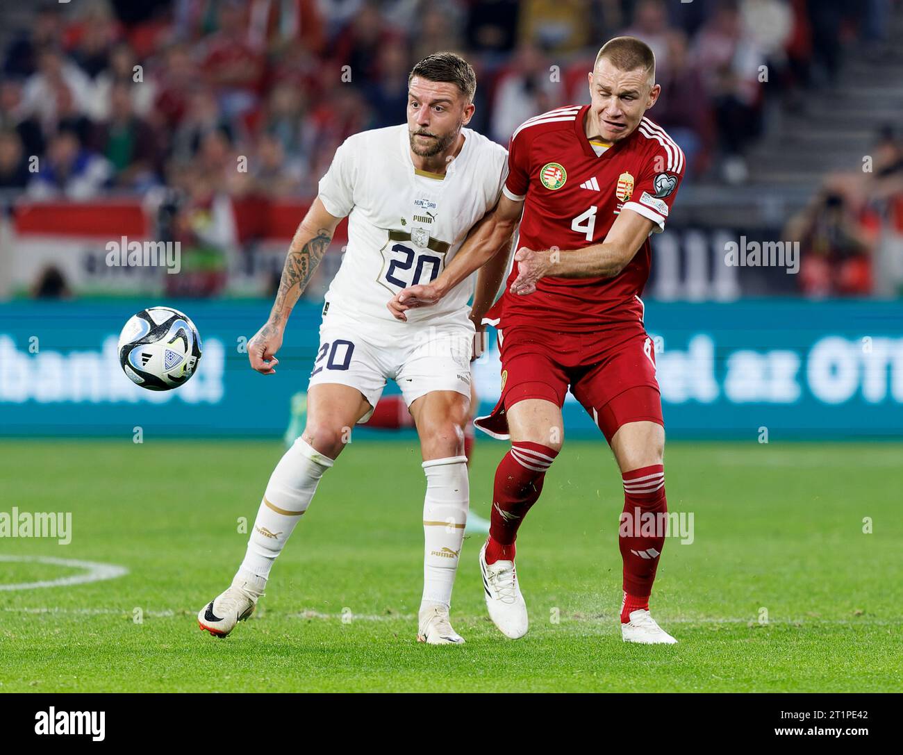 Milinkovic savic 2023 hi-res stock photography and images - Alamy