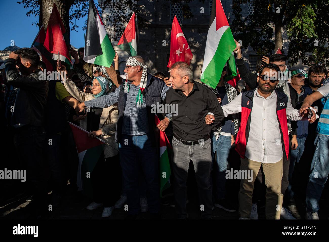 Istanbul, Turkey. 14th Oct, 2023. Demonstrators supporting Palestine ...