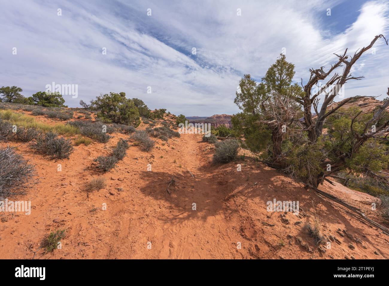 hiking the alcove spring trail in canyonlands national park, usa Stock ...